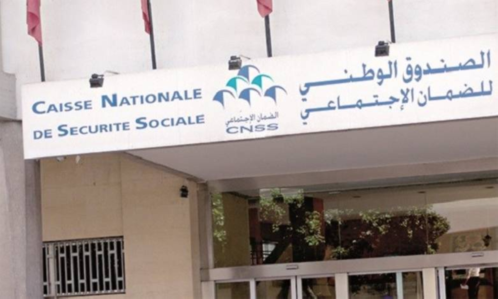 La CNSS alerte ses assurés sur la communication des données ...