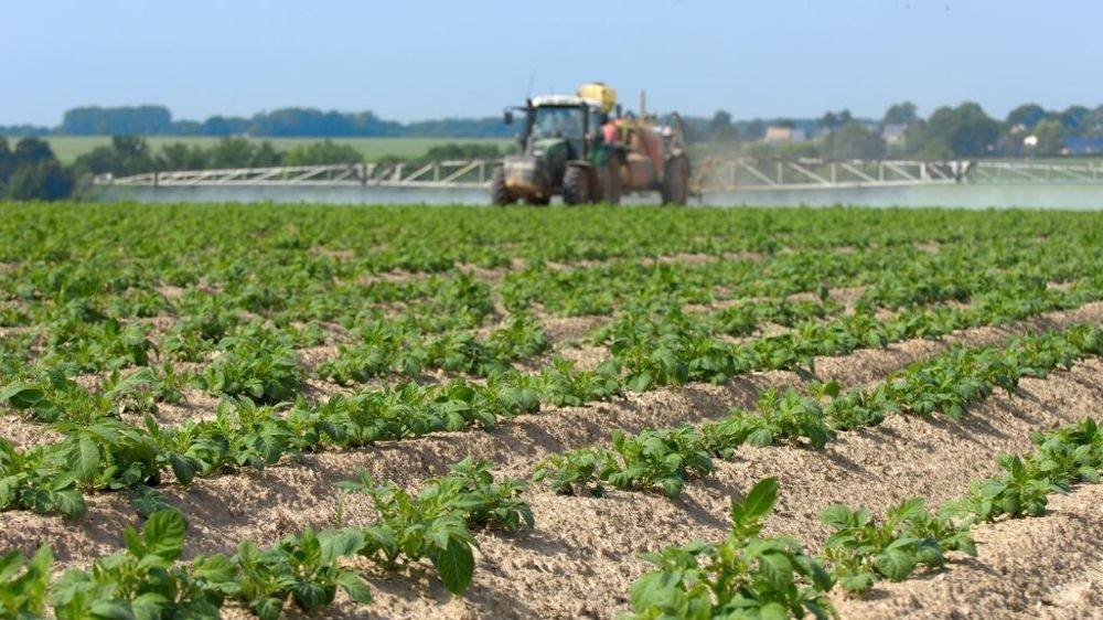 Rabat-Salé-Kénitra : impact positif des dernières pluies sur la ...