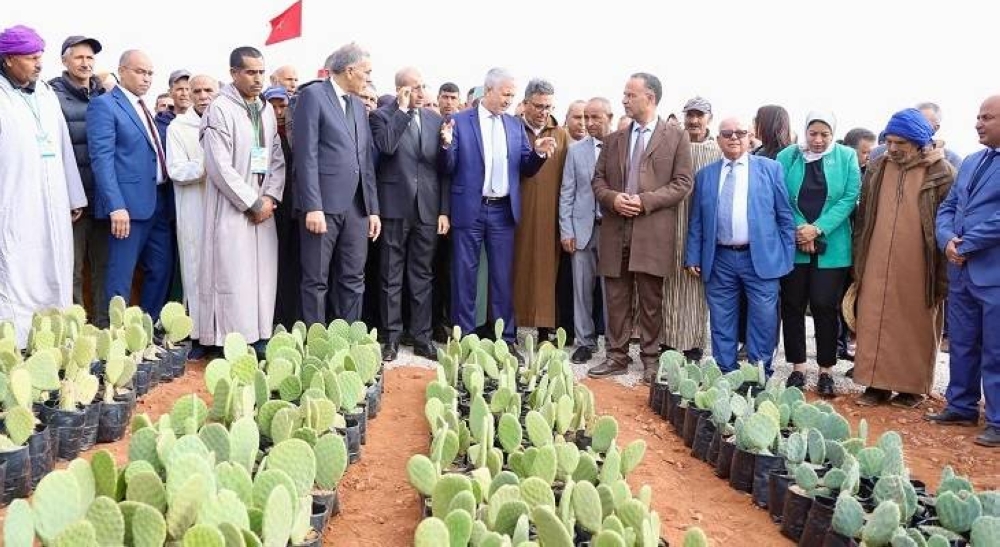 Sadiki lance des projets d'agriculture solidaire à Youssoufia et Safi ...
