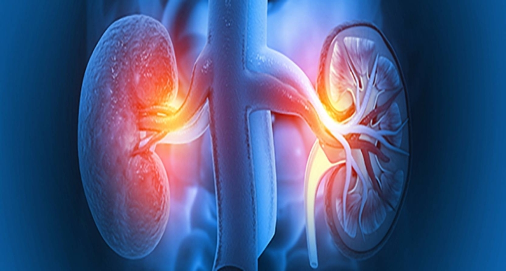 Maladie rénale : l’association REINS appelle à investir dans des ...