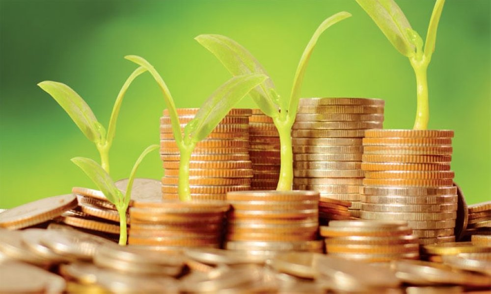 Entrepreneuriat vert au Maroc : «Green Forward» renforce l'écosystème d ...
