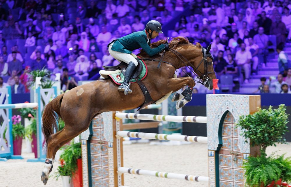 Plus de 200.000 visiteurs attendus au Salon du cheval d’El Jadida 2025 ...